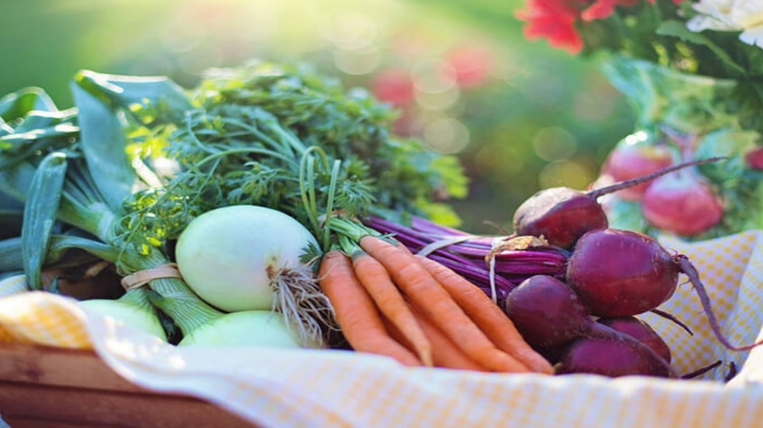 Kök Sebzeler Ve Sebzelerin Faydaları Nelerdir?